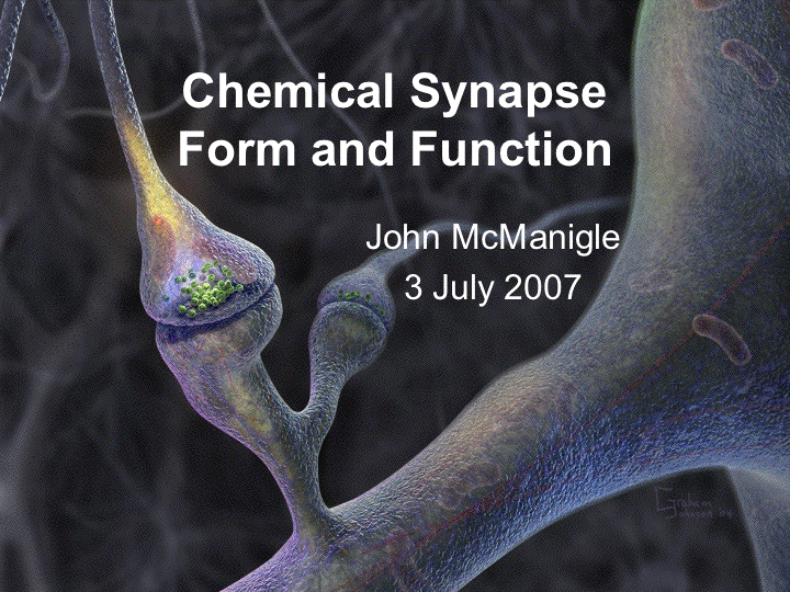 Presentations | Oxford Echoes