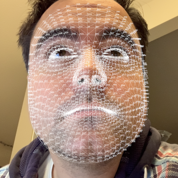 Ios Arkit Face Tracking Vertices Oxford Echoes