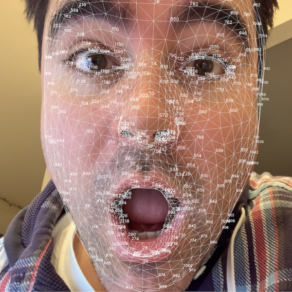 iOS ARKit Face Tracking Vertices | Oxford Echoes